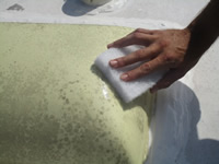 Bugs Off Pads – Clean all insects including love bugs from vehicles ...